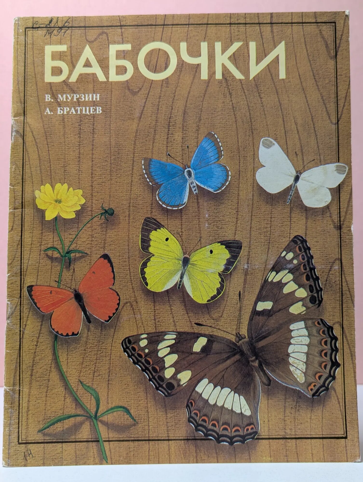 Бабочки Мурзин Владимир Сергеевич, Братцев Андрей 1993