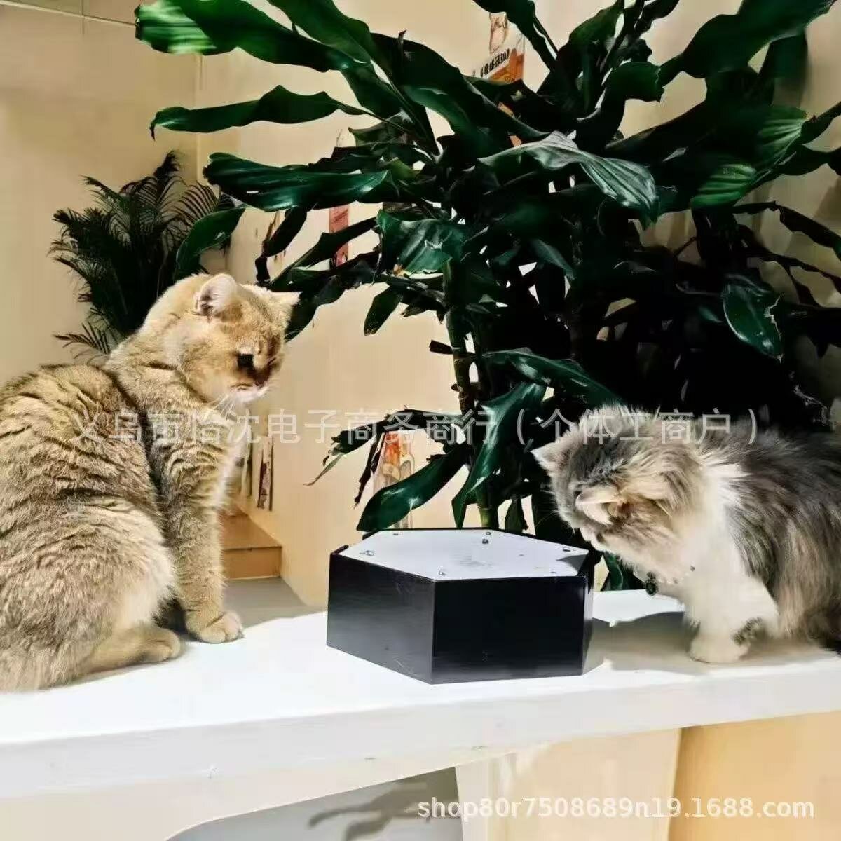 Новая перезаряжаемая игрушка для саморазвлечения капающей кошки