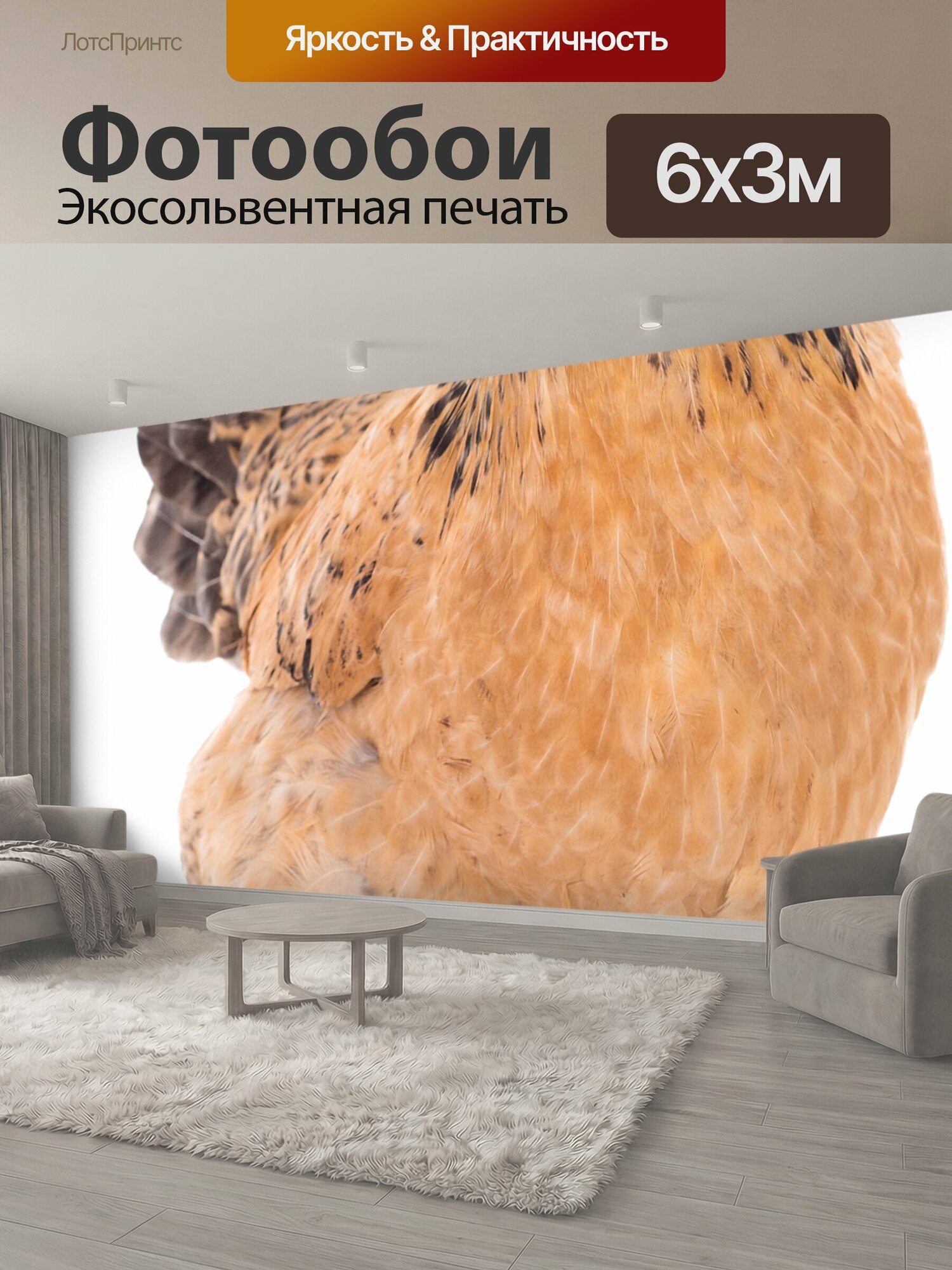 Фотообои "Курица, кур, молодка" 600x300 см. экосольвентная печать