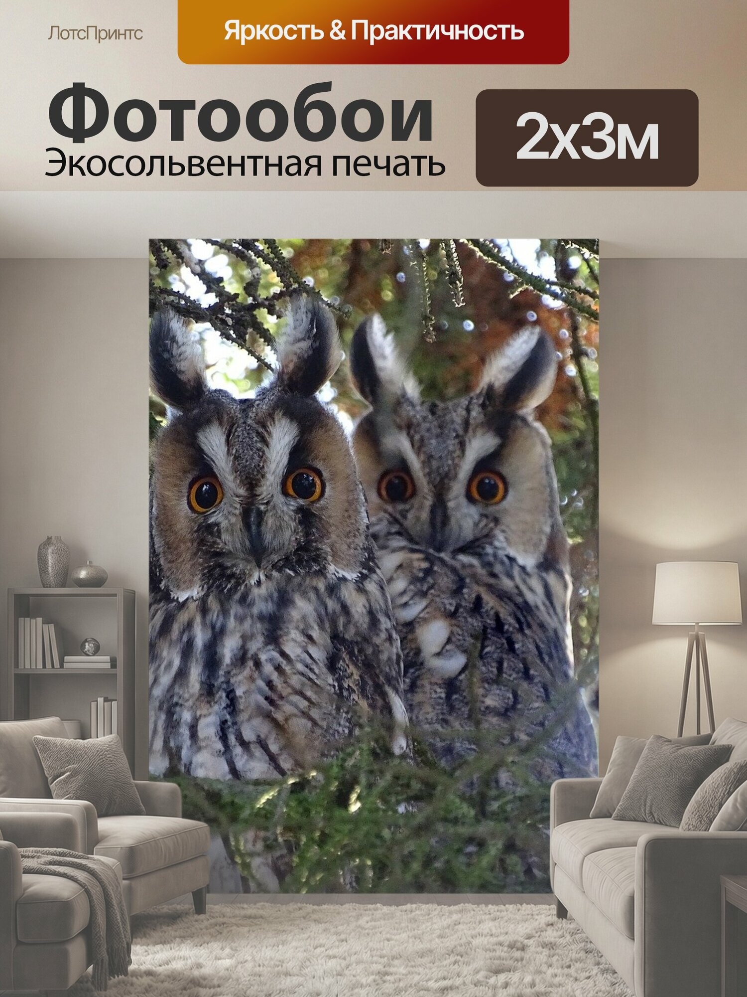 Фотообои "Сова, ушастая сова, asio otus" 200x300 см. экосольвентная печать