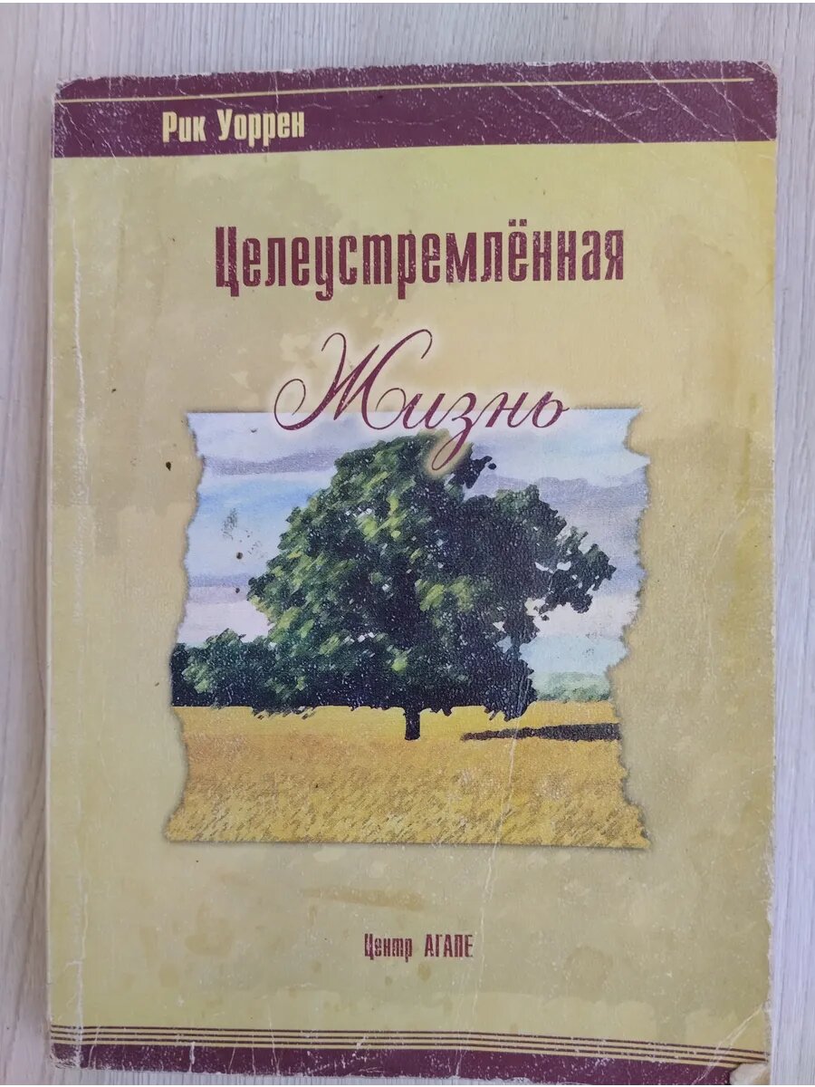 Целеустремленная жизнь. Зачем я здесь?