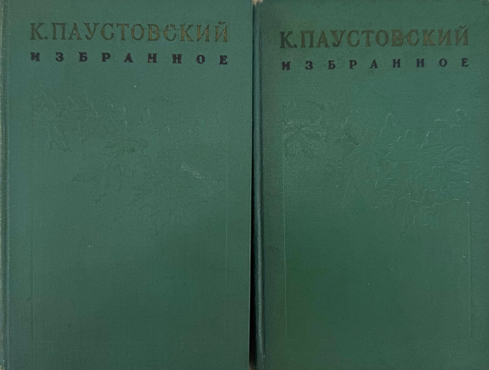 Паустовский К. Г. Избранные произведения в 2 томах (комплект из 2 книг)