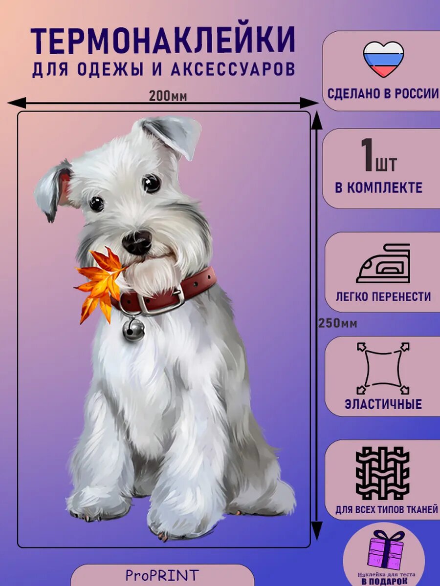 Термонаклейка на одежду