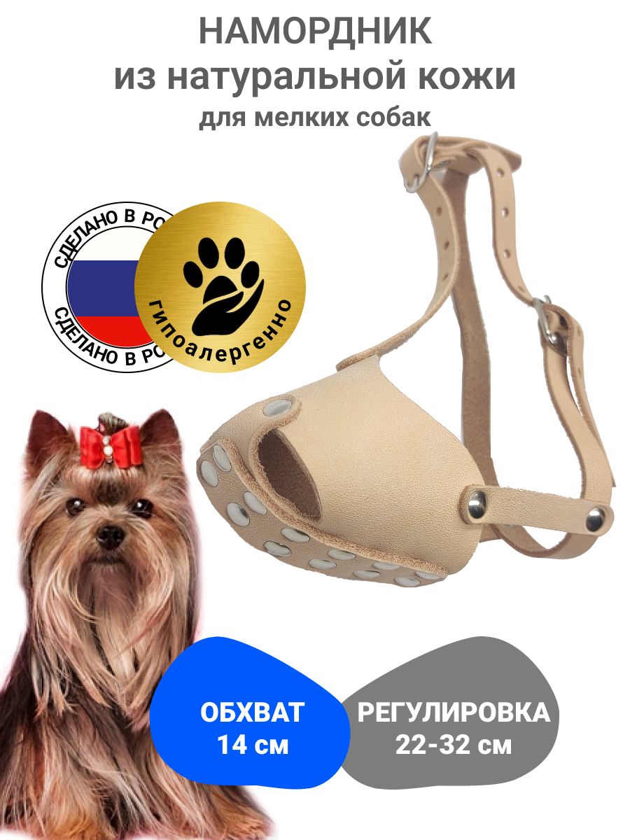 Намордник для йоркширского терьера