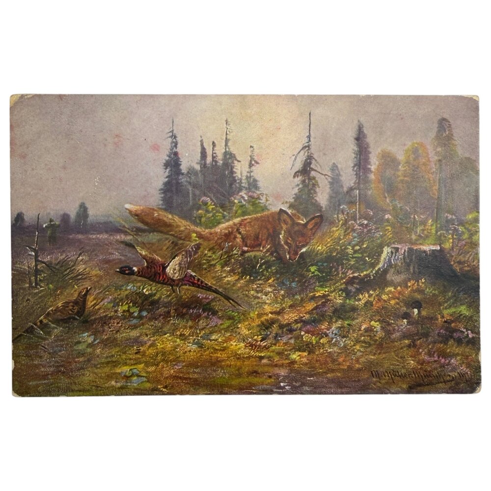 Почтовая открытка "Лиса и фазаны" 1900-1917 гг. Германская Империя