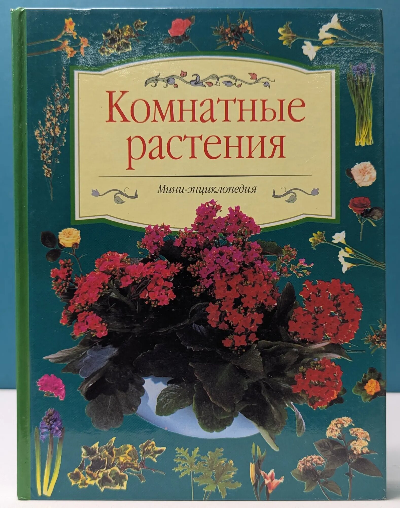Комнатные растения. Мини-энциклопедия 2001