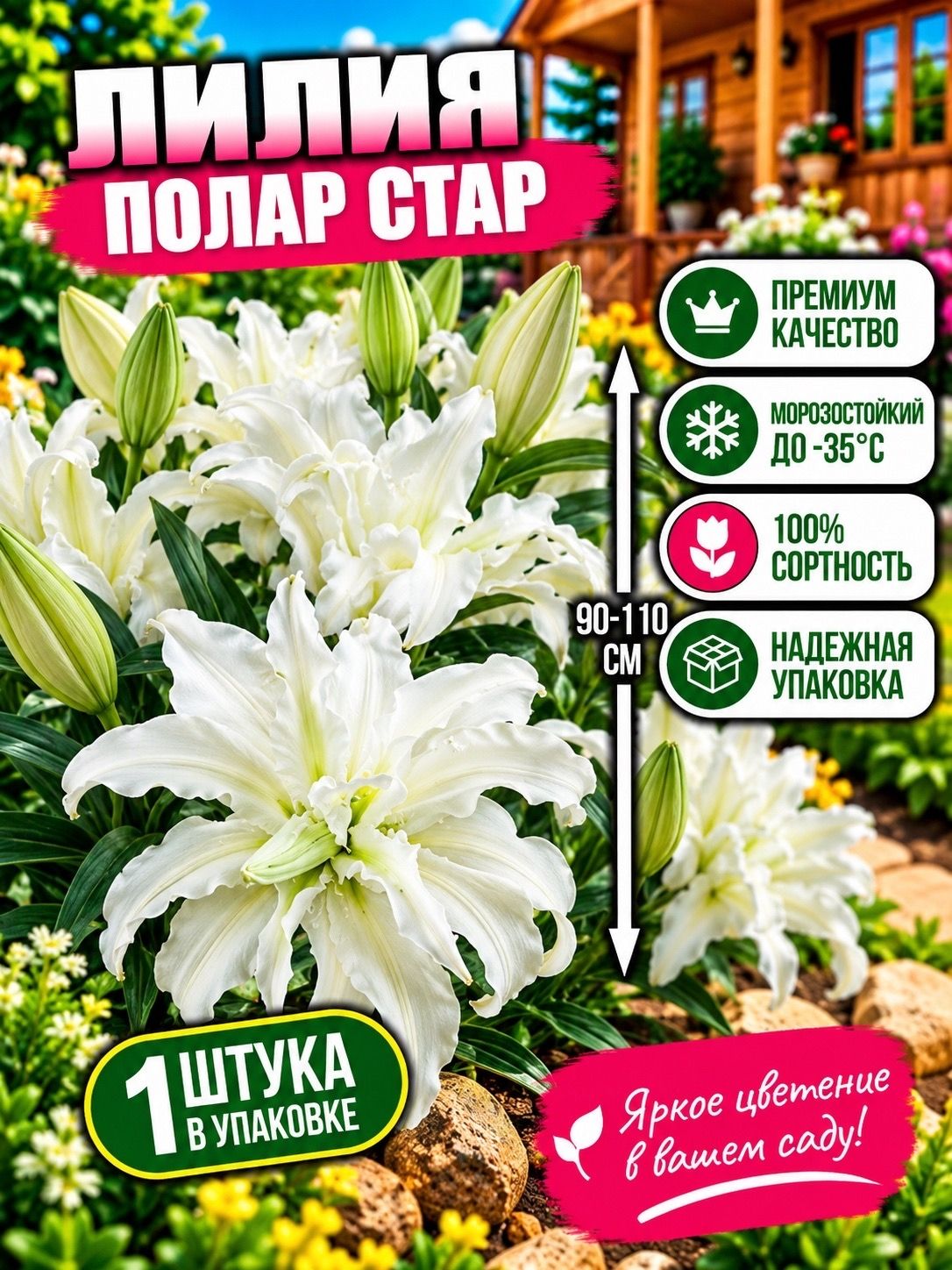 Луковица лилии "Полар Стар"