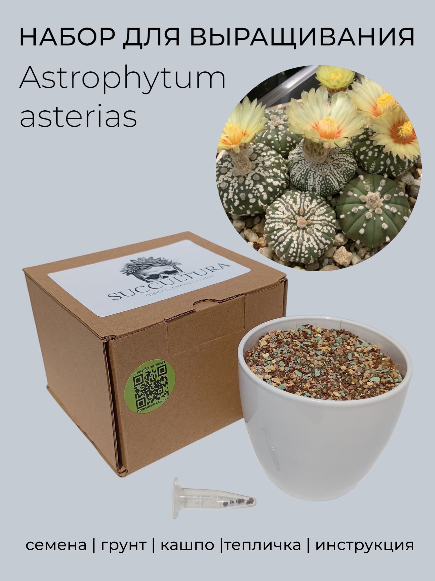 Набор для выращивания Succultura, кактус Астрофитум (семена, грунт, кашпо)