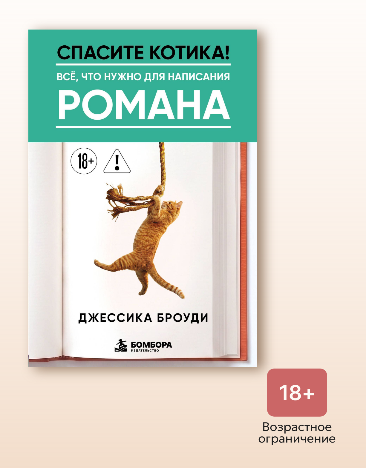 Книга "Спасите котика! Все, что нужно для написания романа", автор Броуди Дж, издательство бомбора