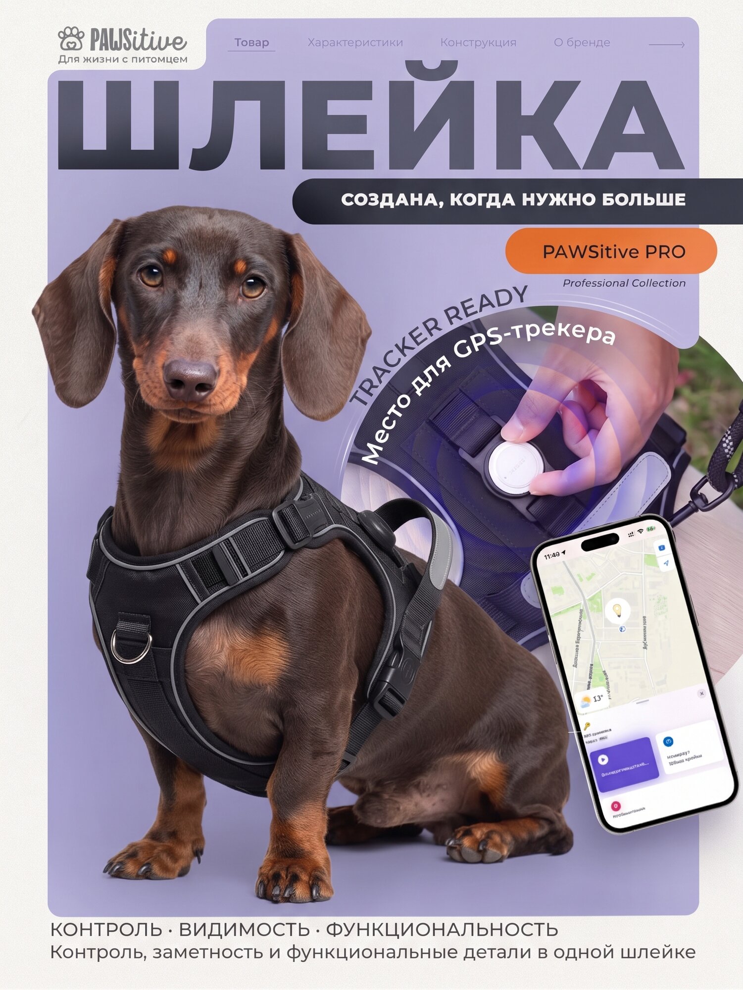 Анатомическая шлейка для собак S, шлейка для собак мелких пород, шлейка для французского бульдога с поводком