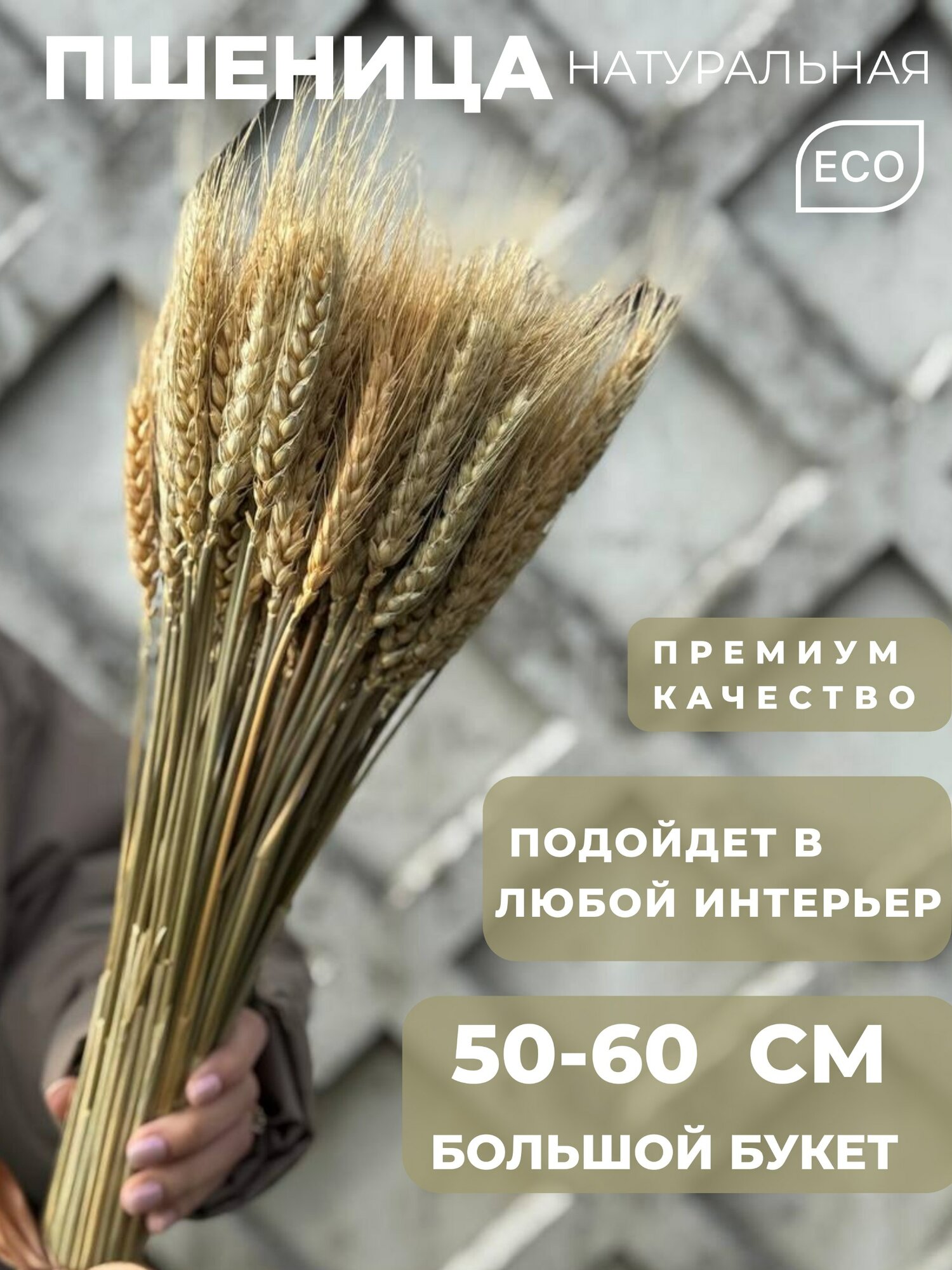 Стабилизированные цветы Пшеница 60 см 90 шт зеркальный