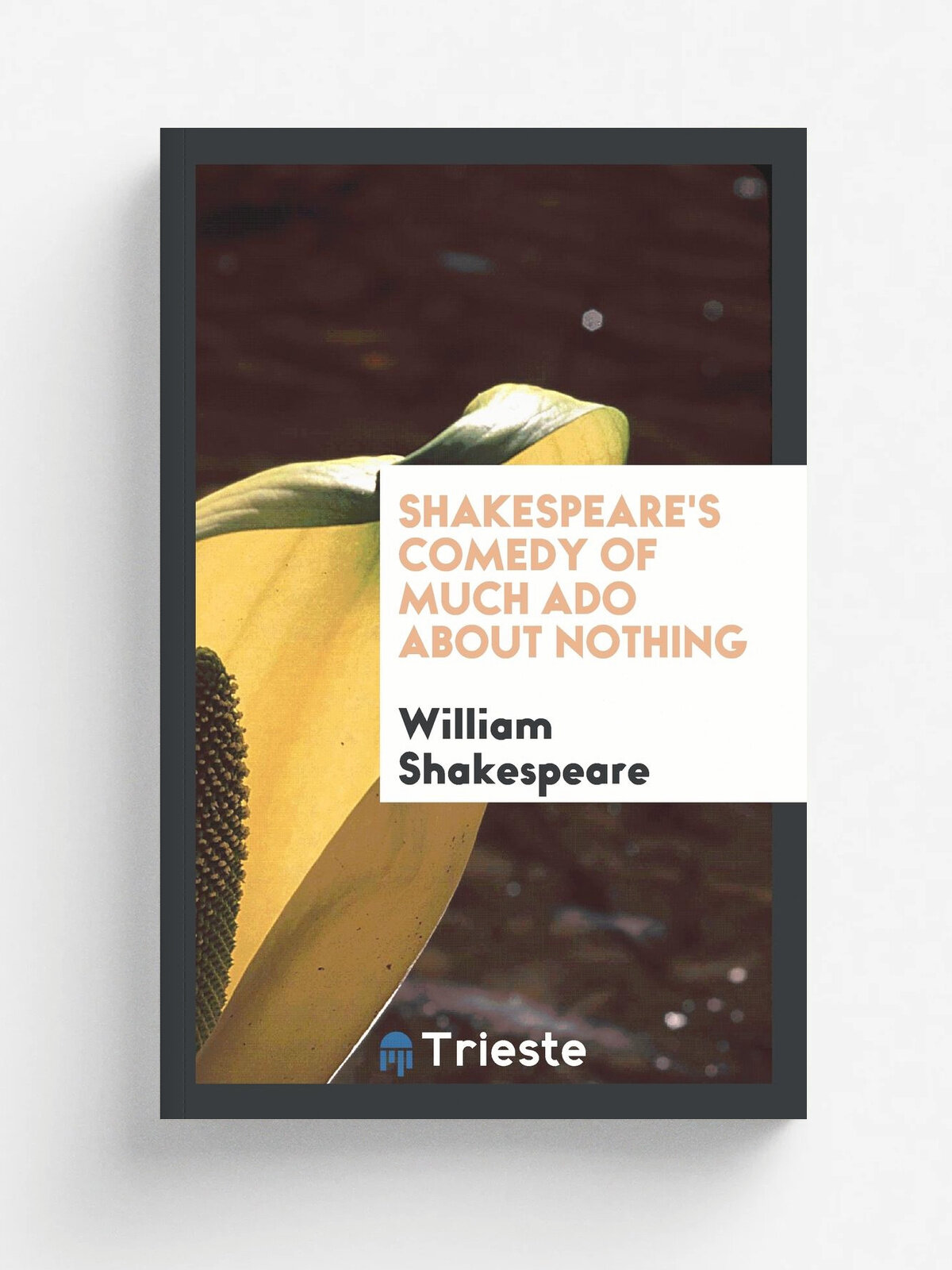 Shakespeare's Comedy of Much Ado about Nothing