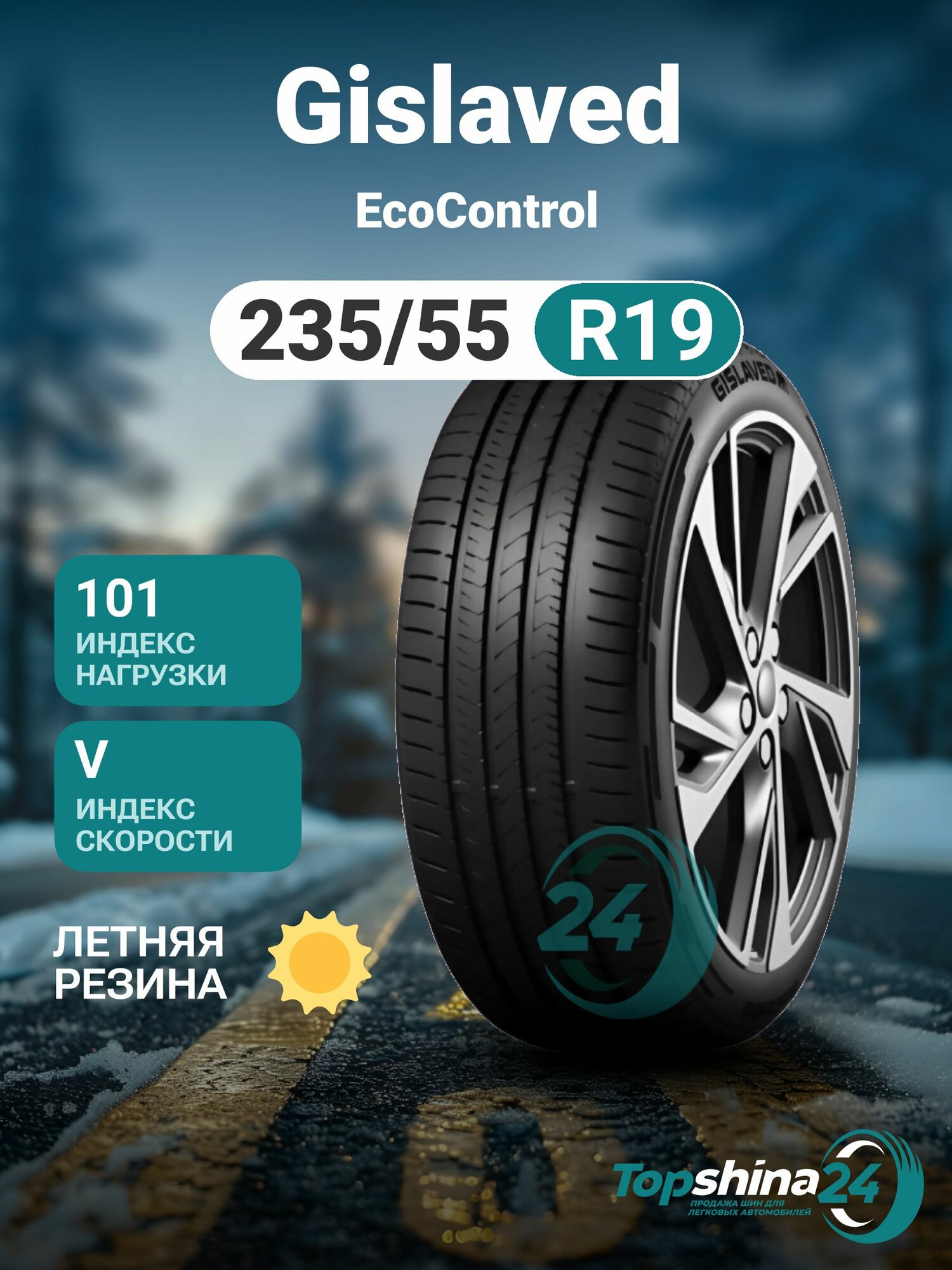 Шины летние Gislaved EcoControl 235/55 R19 V101