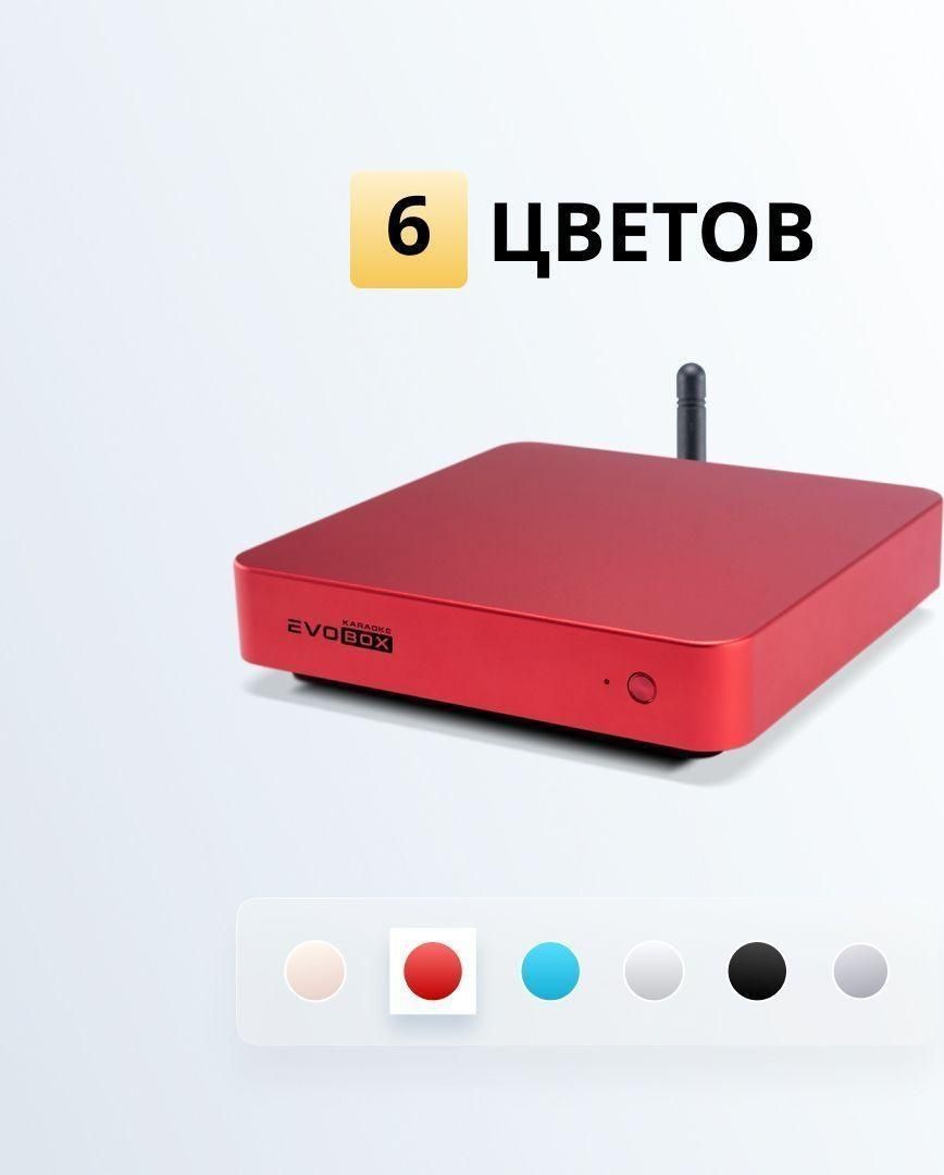 Караоке-система для дома EVOBOX Classic Ruby c микрофонами SE 201D