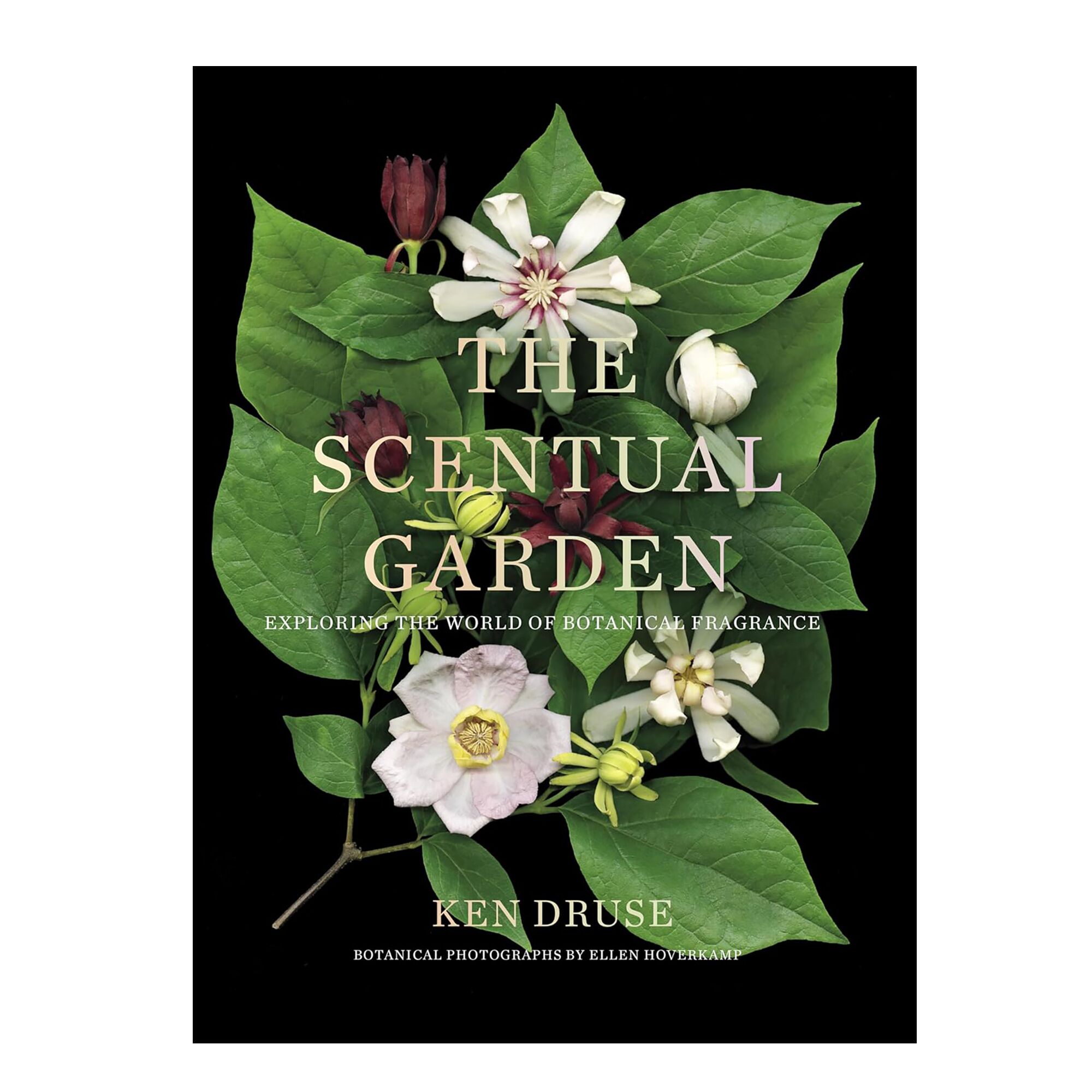 The Scentual Garden