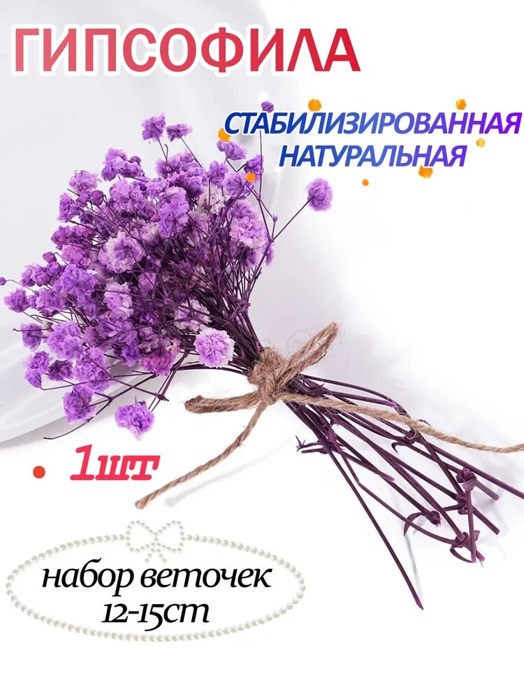 Сухоцветы 15 г 1 шт сиреневый