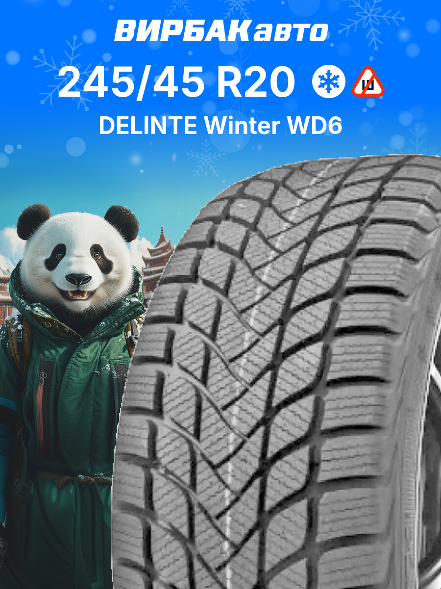 Зимние шины DELINTE Winter WD6 245/45R20 103H, зимняя автомобильная резина