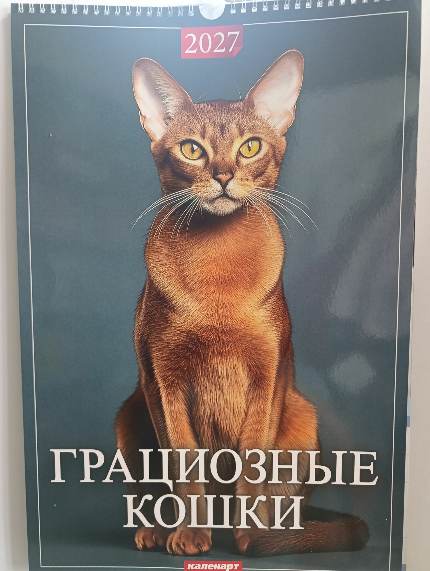 Календарь 2027 г. "Грациозные кошки", настенный, перекидной, на ригеле. 480*320 мм.
