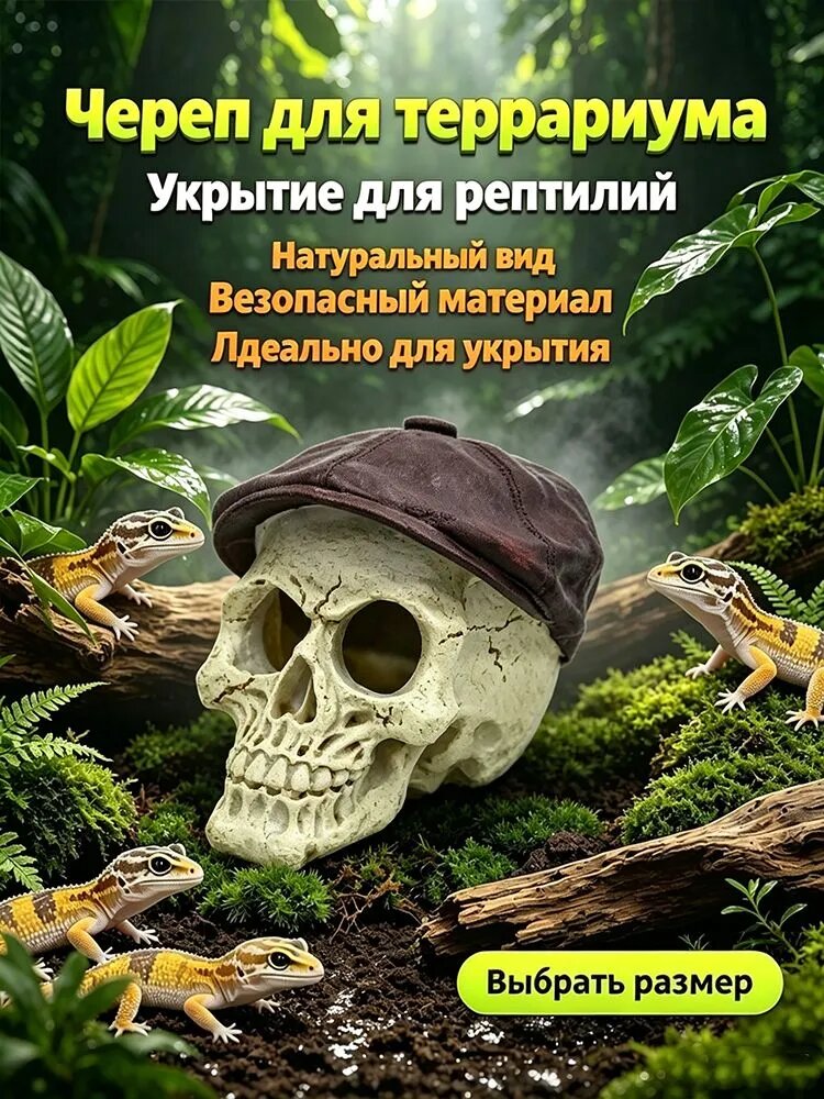 Декоративный череп для террариума, укрытия для рептилий, декора для геккона, паука, скорпиона, ящерицы.
