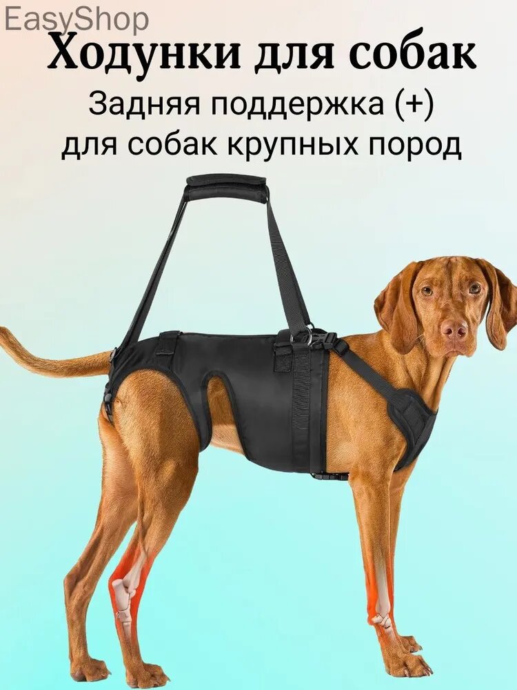 Ходунки для собак средних и крупных пород