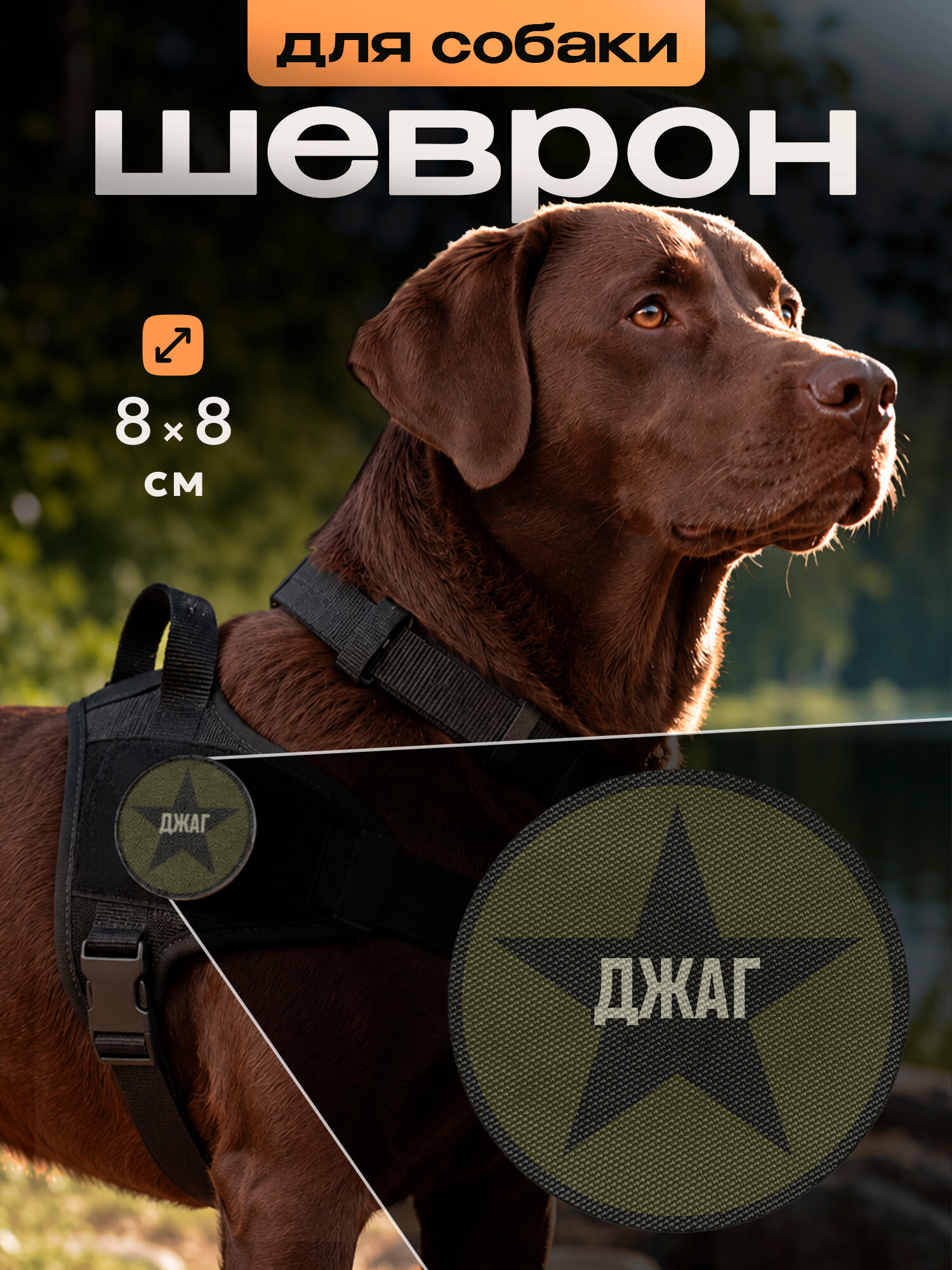 Шеврон IREVIVE кожаный, круглый 8 см, Джаг , на липучке, для формы, военному