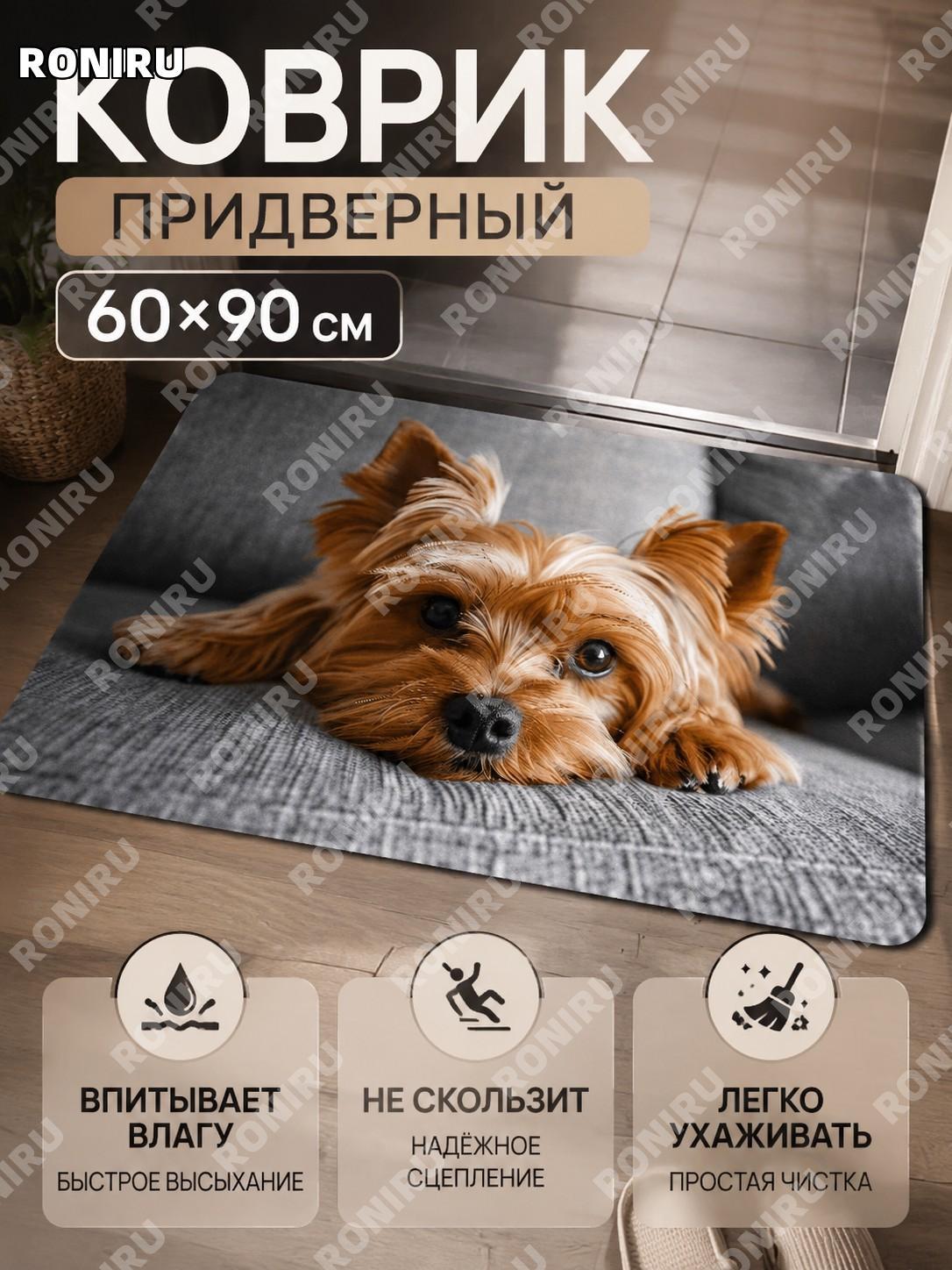 Придверный коврик 60×90 см вариант 21 из полиэстера с диатомовым покрытием дома влаговпитывающий коврик