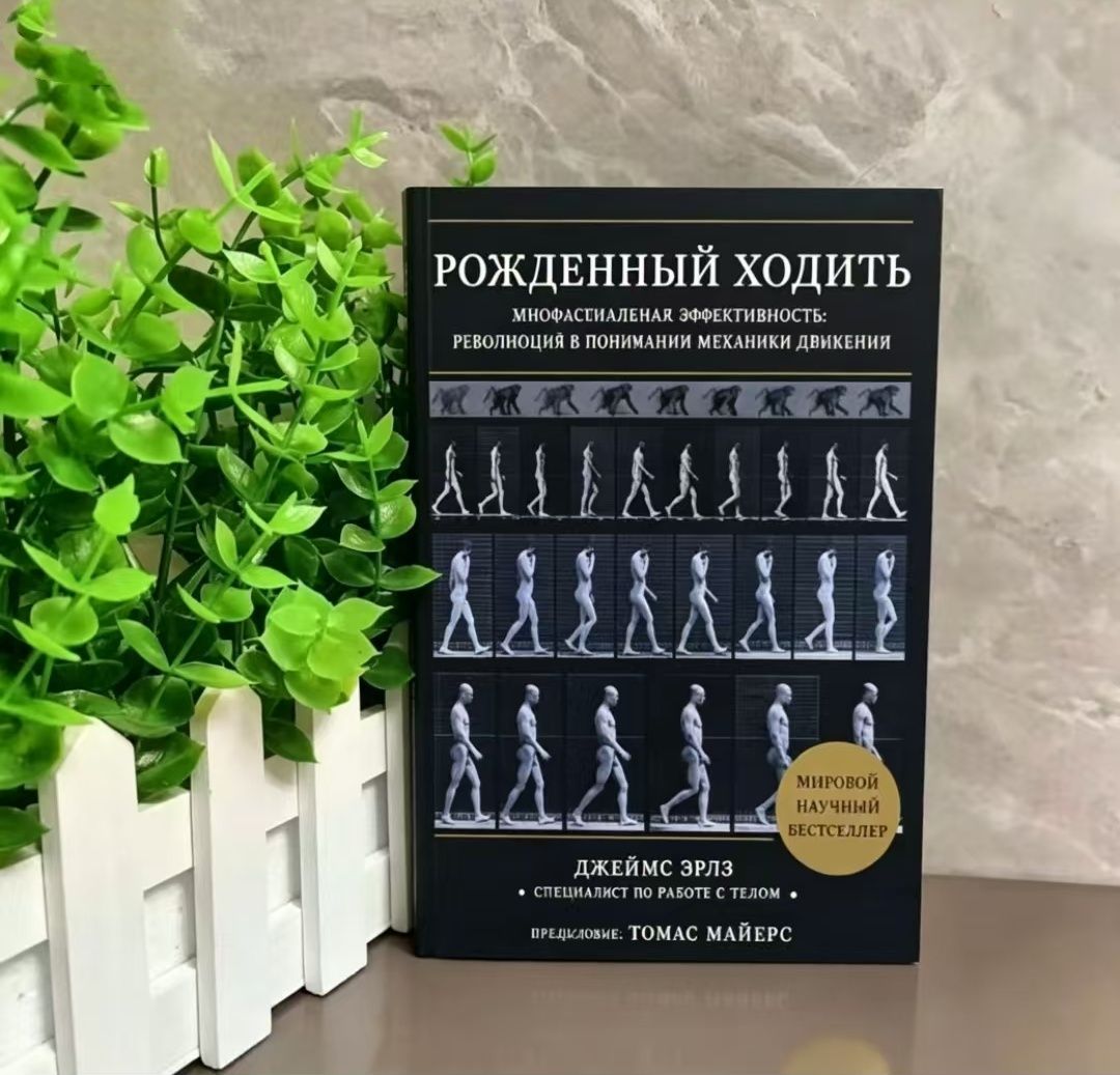 Рожденный ходить Джеймс Эрлз книга по анатомии движения и миофасциальной эффективности