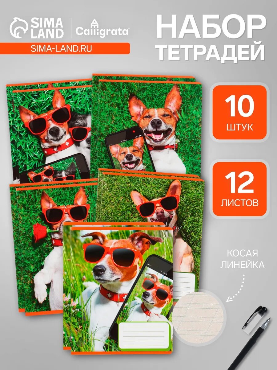 Комплект тетрадей из 10 штук, 12 листов "СелфиDOG"