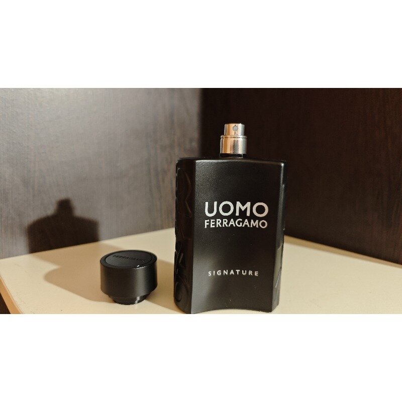 Salvatore Ferragamo Uomo Signature Eau de Parfum 100 мл парфюмерная вода для мужчин