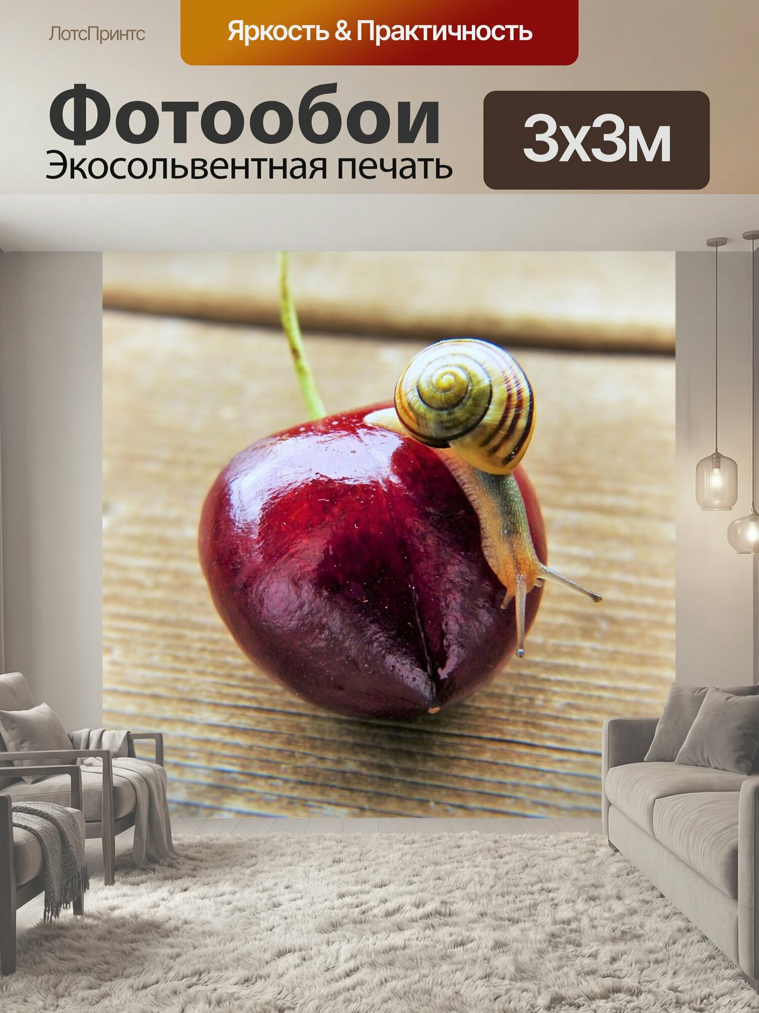 Фотообои "Вишня, улитка, оболочка" 300x300 см. экосольвентная печать