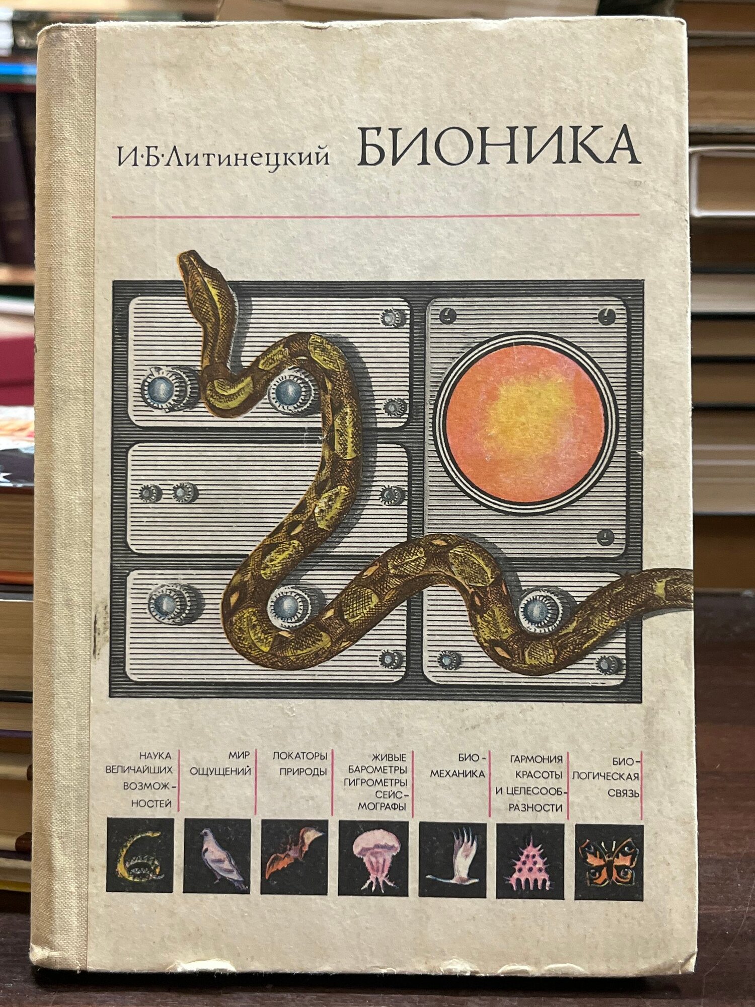 Бионика