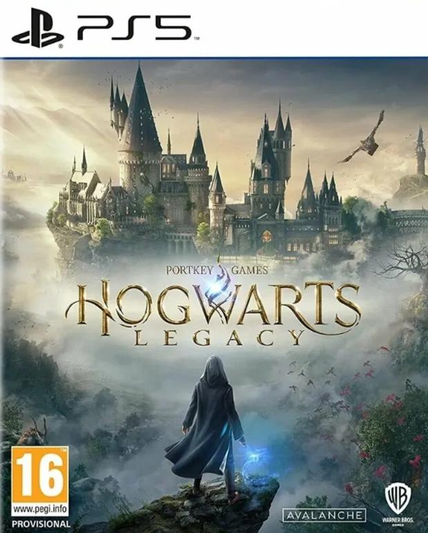 Видеоигра Warner Bros Hogwarts Legacy для PS5