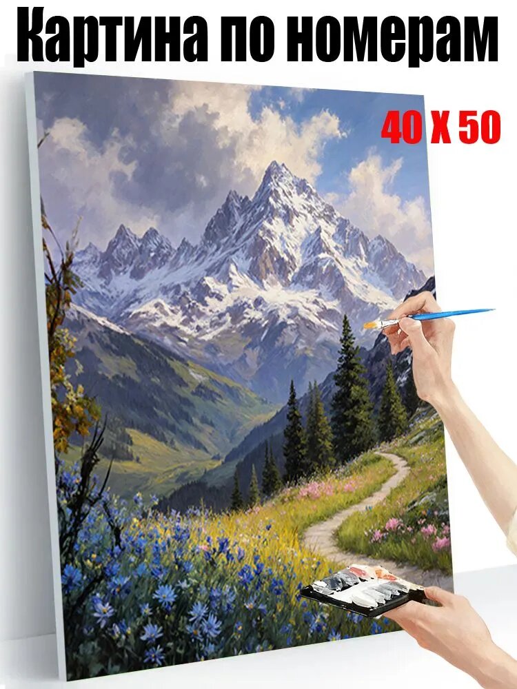 Картина по номерам 40х50 см на холсте, DIY своими руками , Горная цветочная и травяная тропа, для начинающих подарок для дома