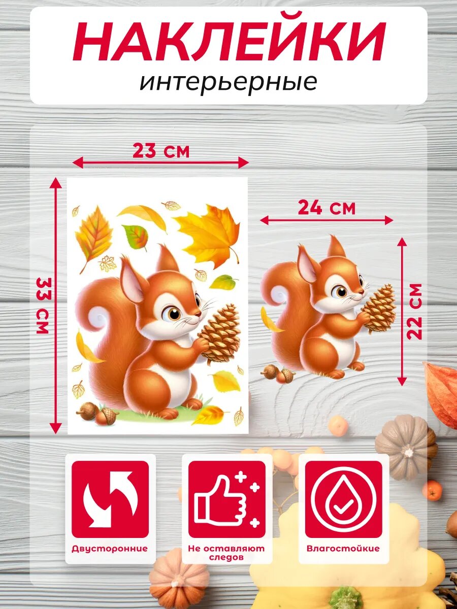 Интерьерные наклейки на окна Белочка