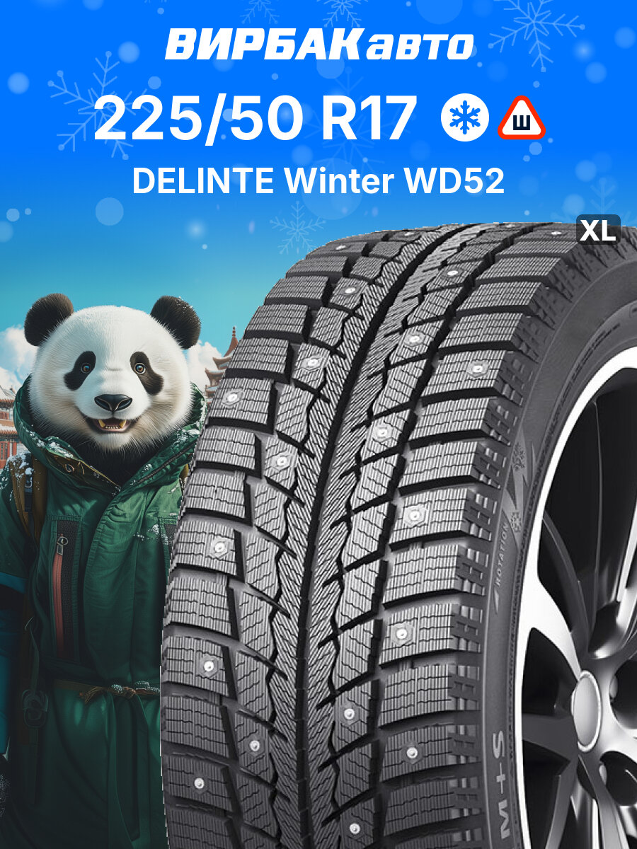 Зимние шины DELINTE Winter WD52 225/50R17 98H XL, зимняя автомобильная резина