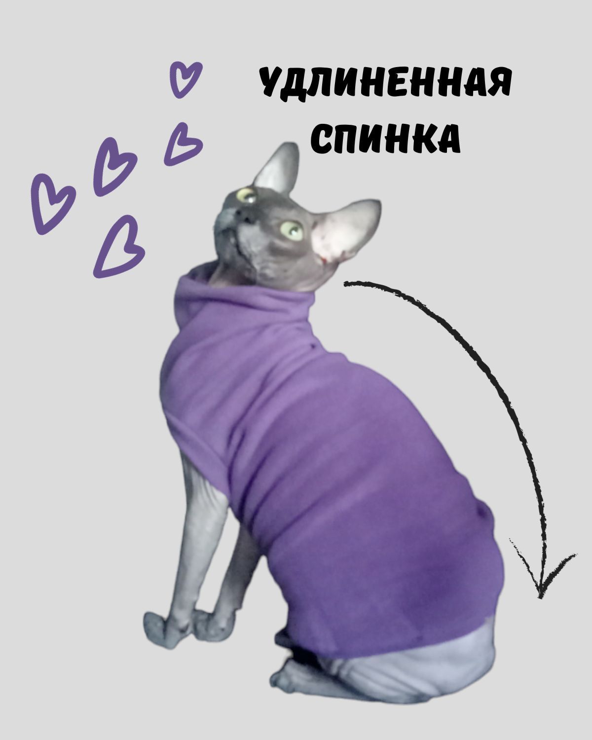 Одежда для животных — фото 1
