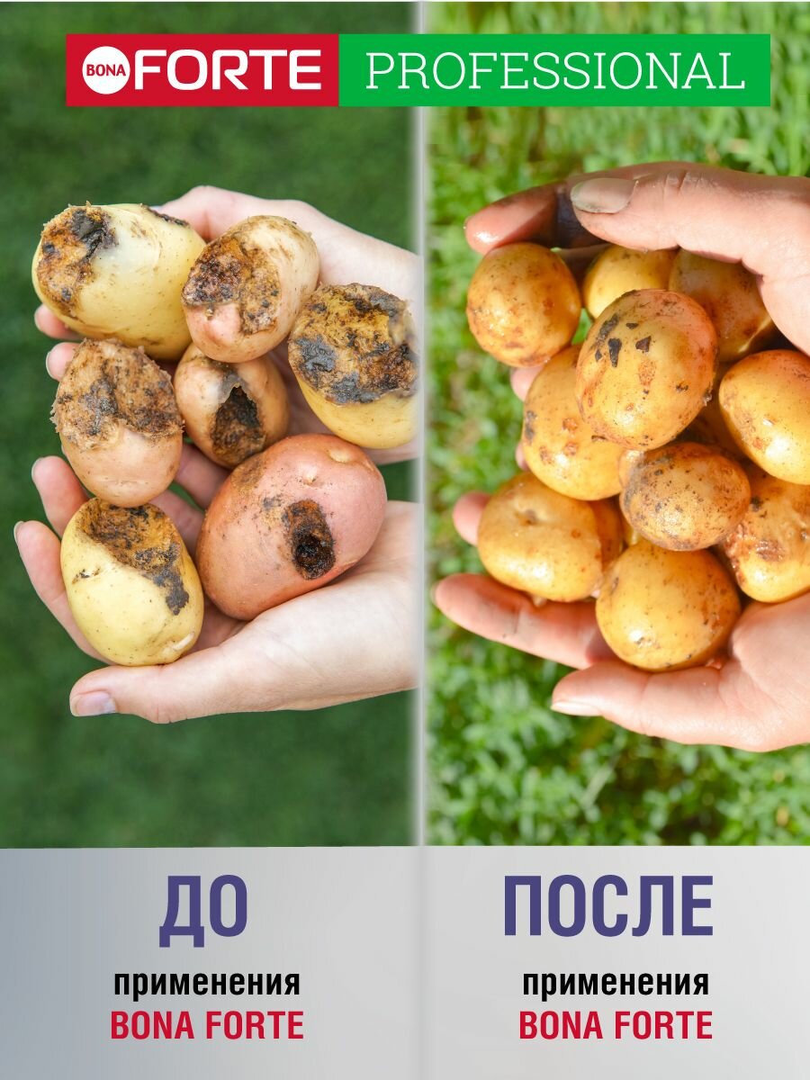 Спрей от насекомых вредителей на растениях натуральный, средство от мошек в комнатных цветах, 250 мл защита растений от цветочных мошек
