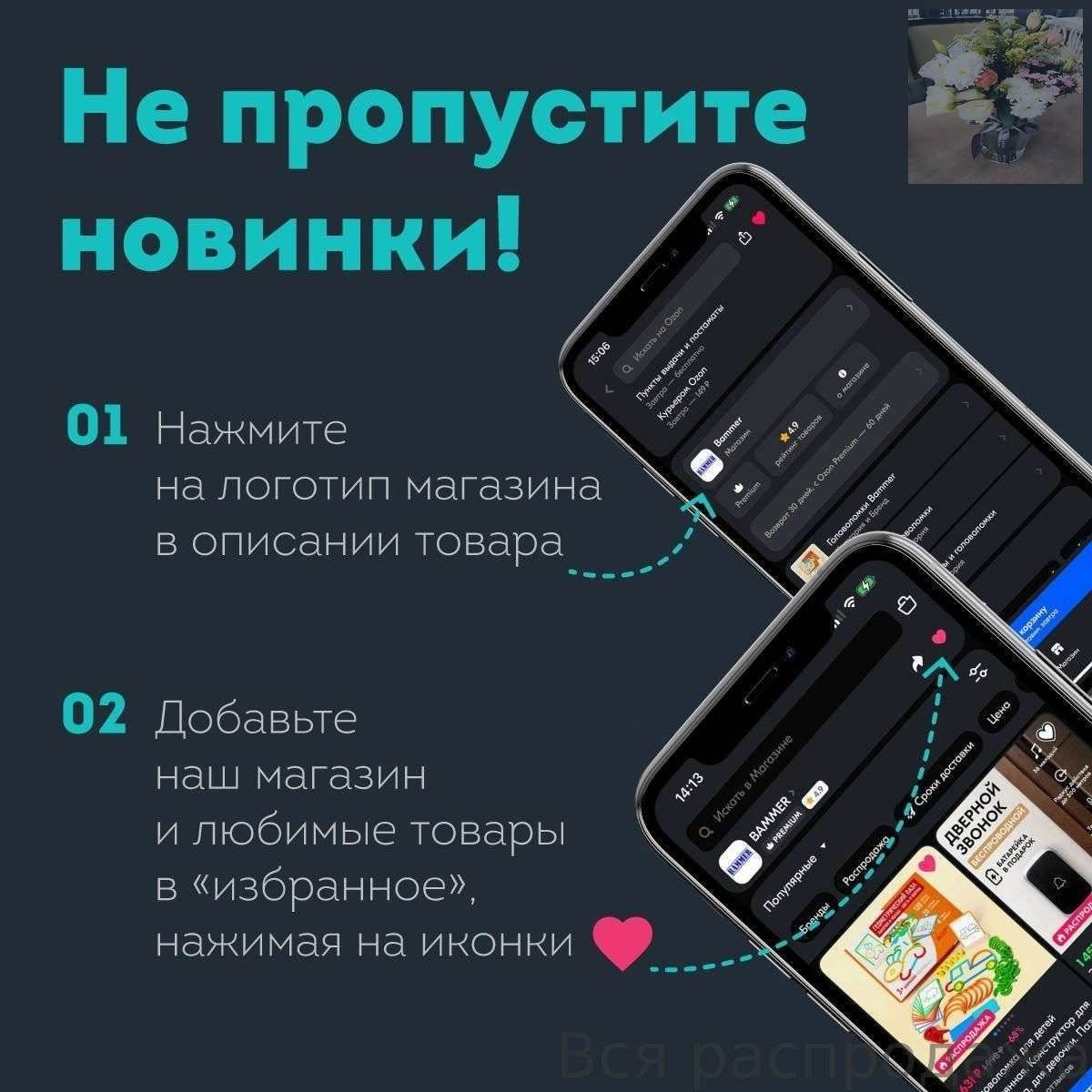 Капа, трейнер — фото 1