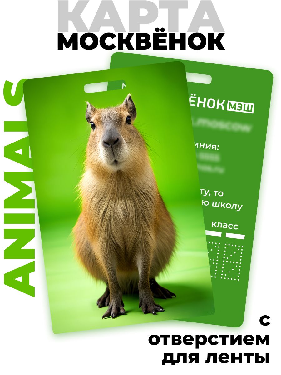 Карта Москвёнок ANIMALS №11