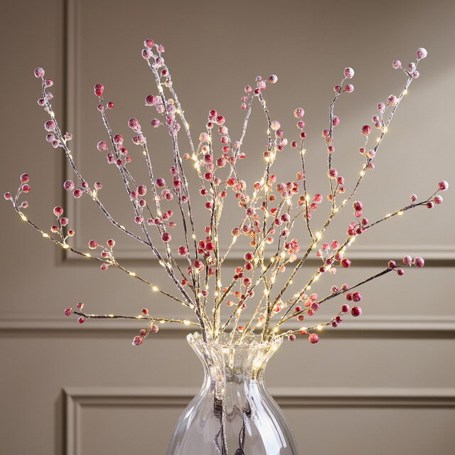 Светящаяся ветка Dartmouth 100 см, 45 теплых белых LED ламп, таймер, на батарейках, Edelman, 1171401