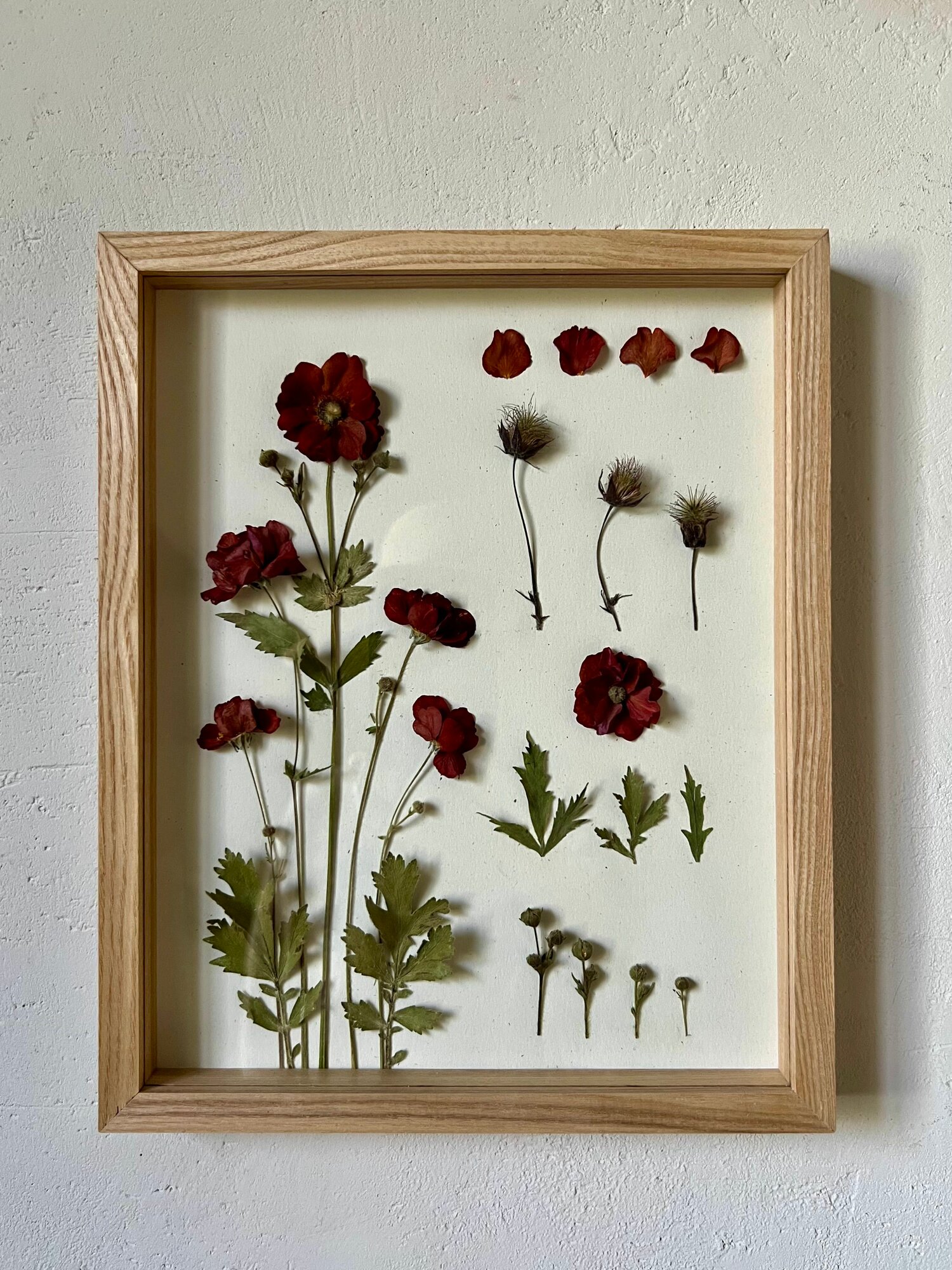 Ботаническое панно из натуральных растений в глубокой рамке 27,5х22,5 см. / Olya_klever