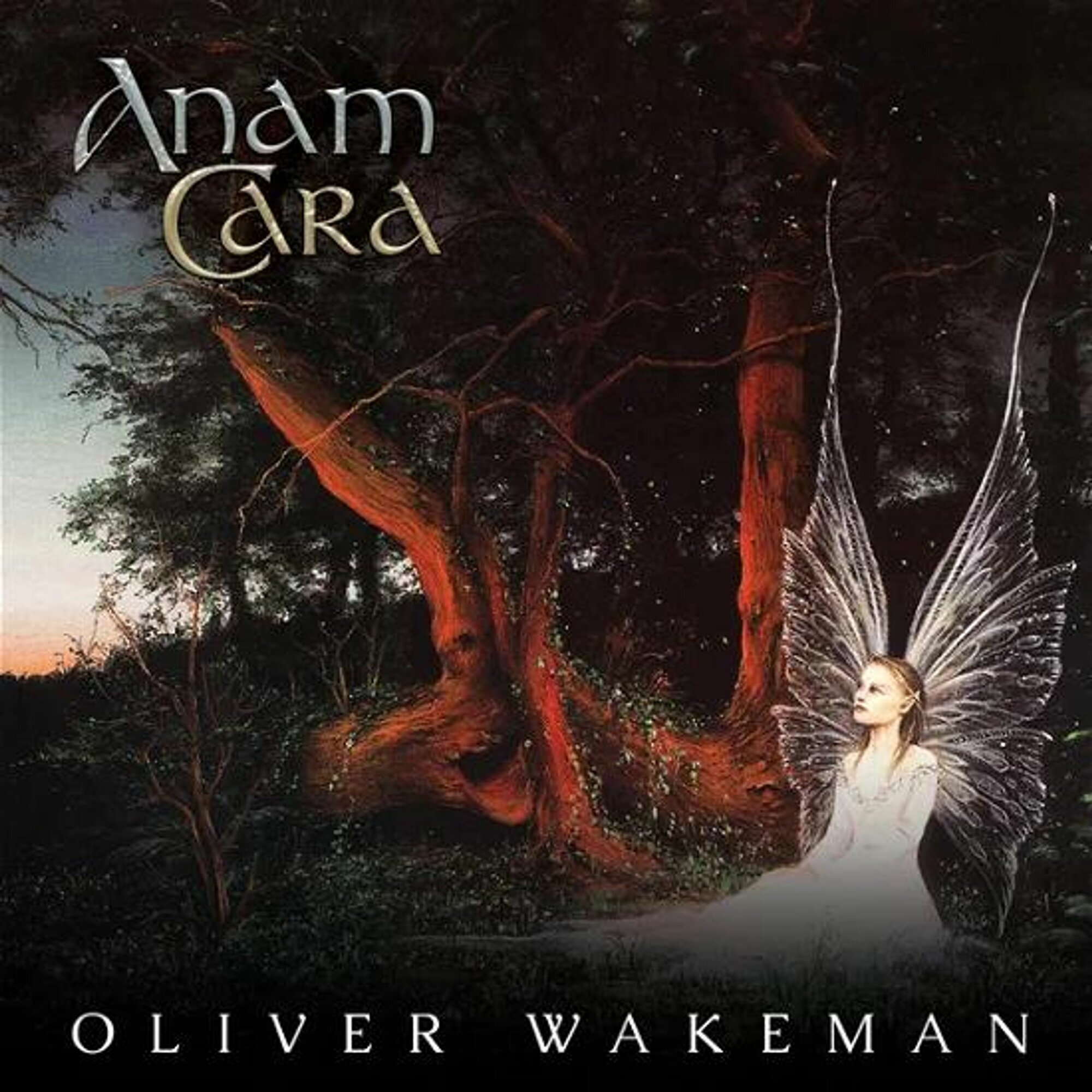 Компакт-диск Oliver Wakeman - Anam Cara (CD) (1 CD)