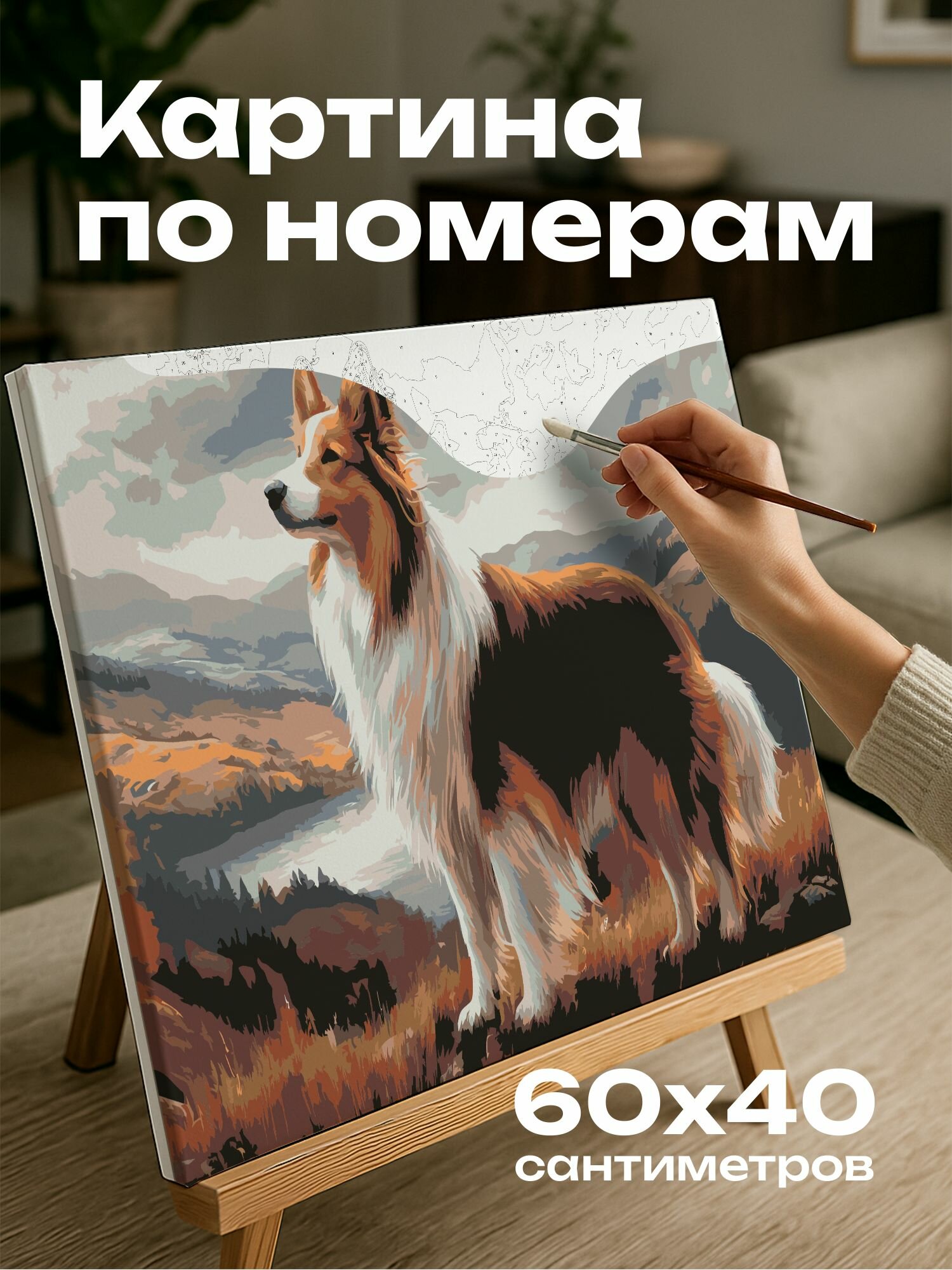 Картина по номерам 60x40 см, Шерсть, колли, гордость, холмистая местность, элегантность, красота, грация, роскошная