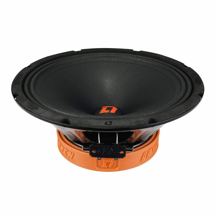 Колонки для автомобиля DL Audio Raven 250 эстрадная акустика 25 см. (10 дюймов) / комплект 2 шт.