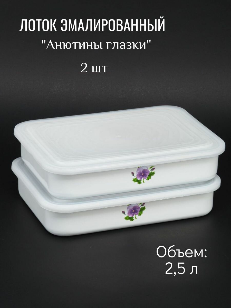 Лоток, судок эмалированный 2,5л с рисунком для хранения продуктов набор из 2-х штук