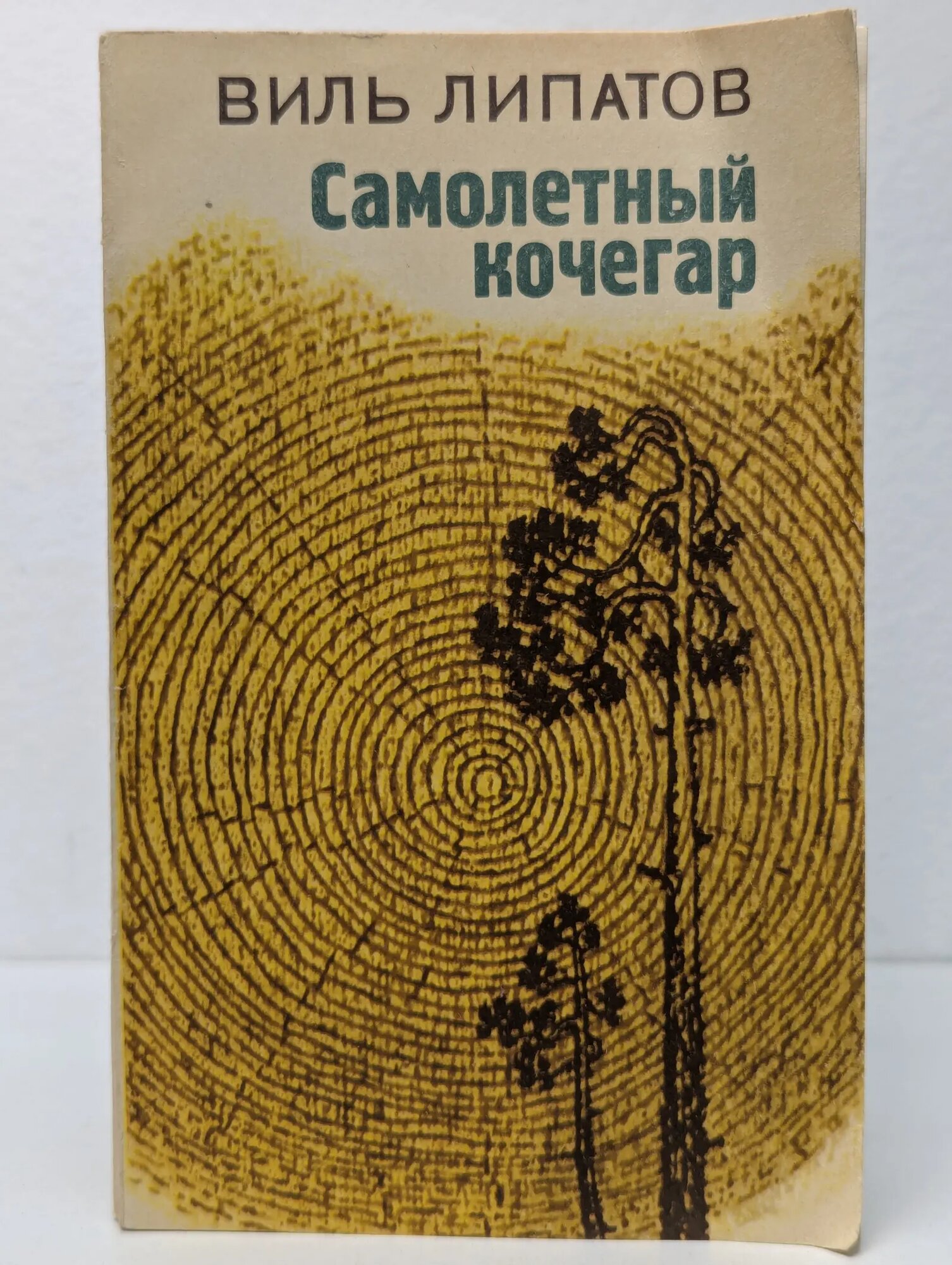 Самолетный кочегар Липатов Виль Владимирович 1975