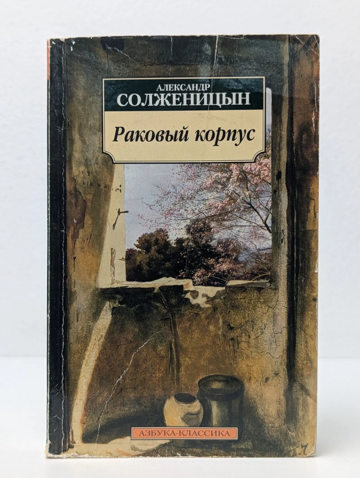 Раковый корпус Солженицын Александр Исаевич 2007