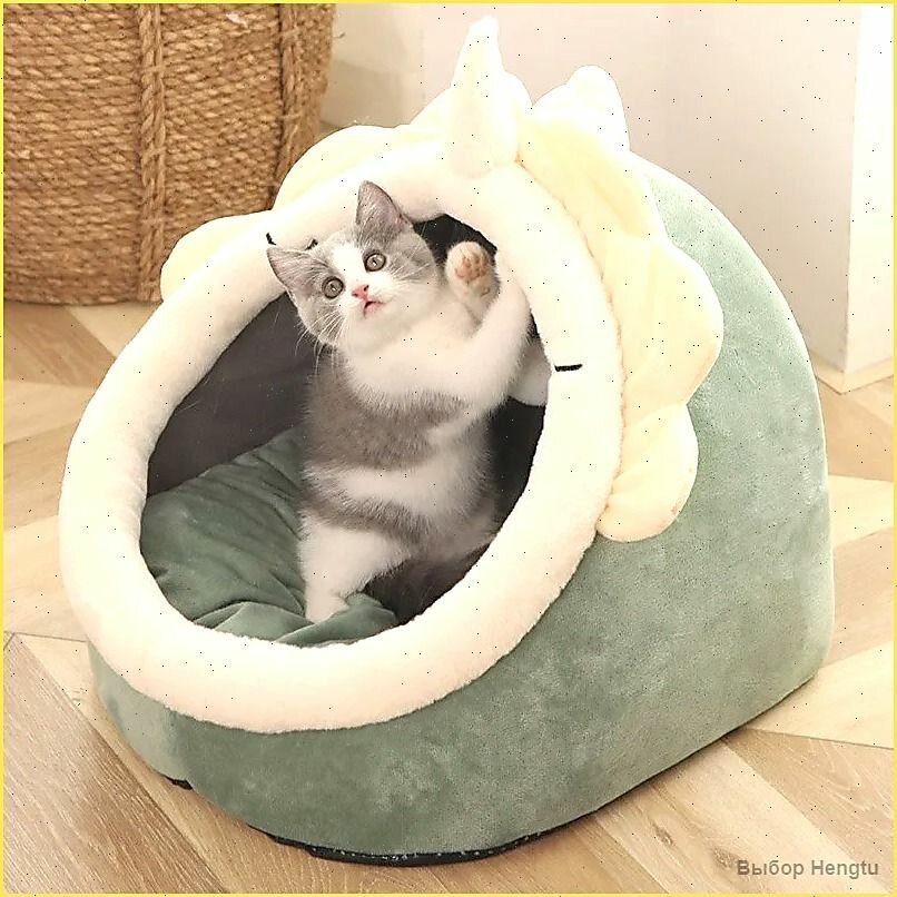 Корзина для домашних животных, комфортабельный котенок, котенок, кот.