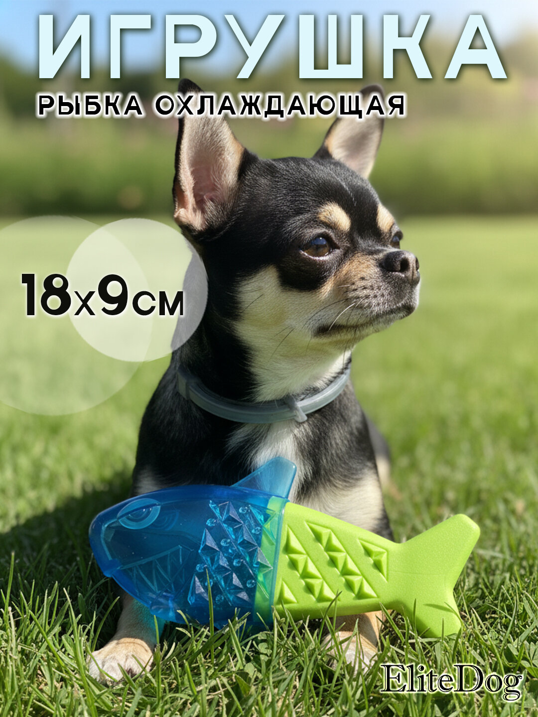 Охлаждающая игрушка-рыбка для собак резиновая, 18х9х4см