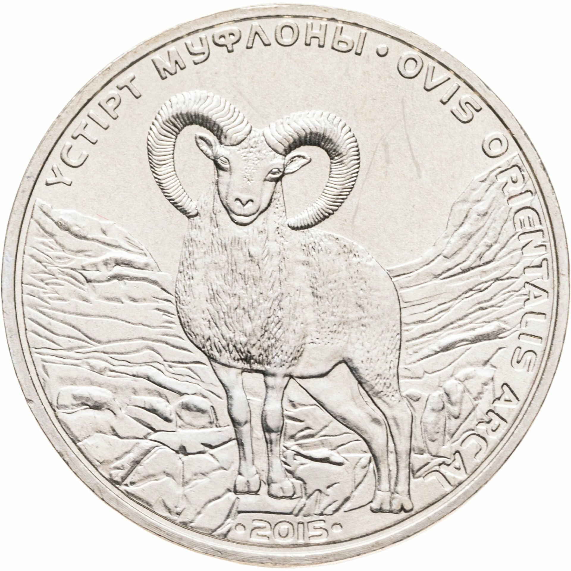 Казахстан 50 тенге 2015 Красная книга - Устюртский муфлон, МНЦ медь-никель-цинк, в сохранности AU